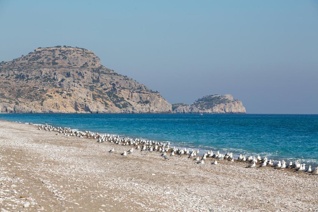 Najlepsze plaże na Rodos Afandou | Biuro Podróży Rodos | Transfery Rodos